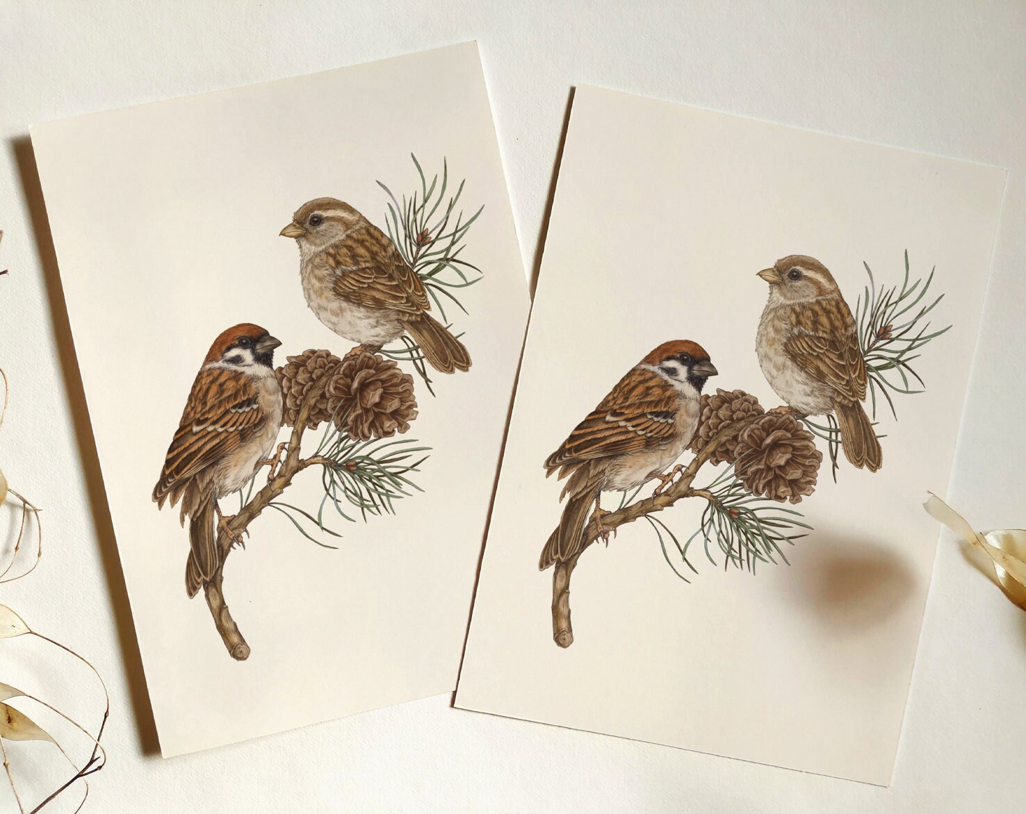 Sparrow Art Print Bird Art Print Sparrow Illustration - Etsy
