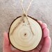 Hand Painted Wisconsin Ornament - Cabin Decor - Northwoods Art - Etsy