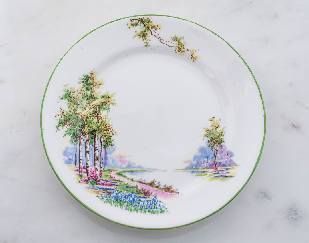 Aynsley "bluebell Time" Side Plate - Etsy