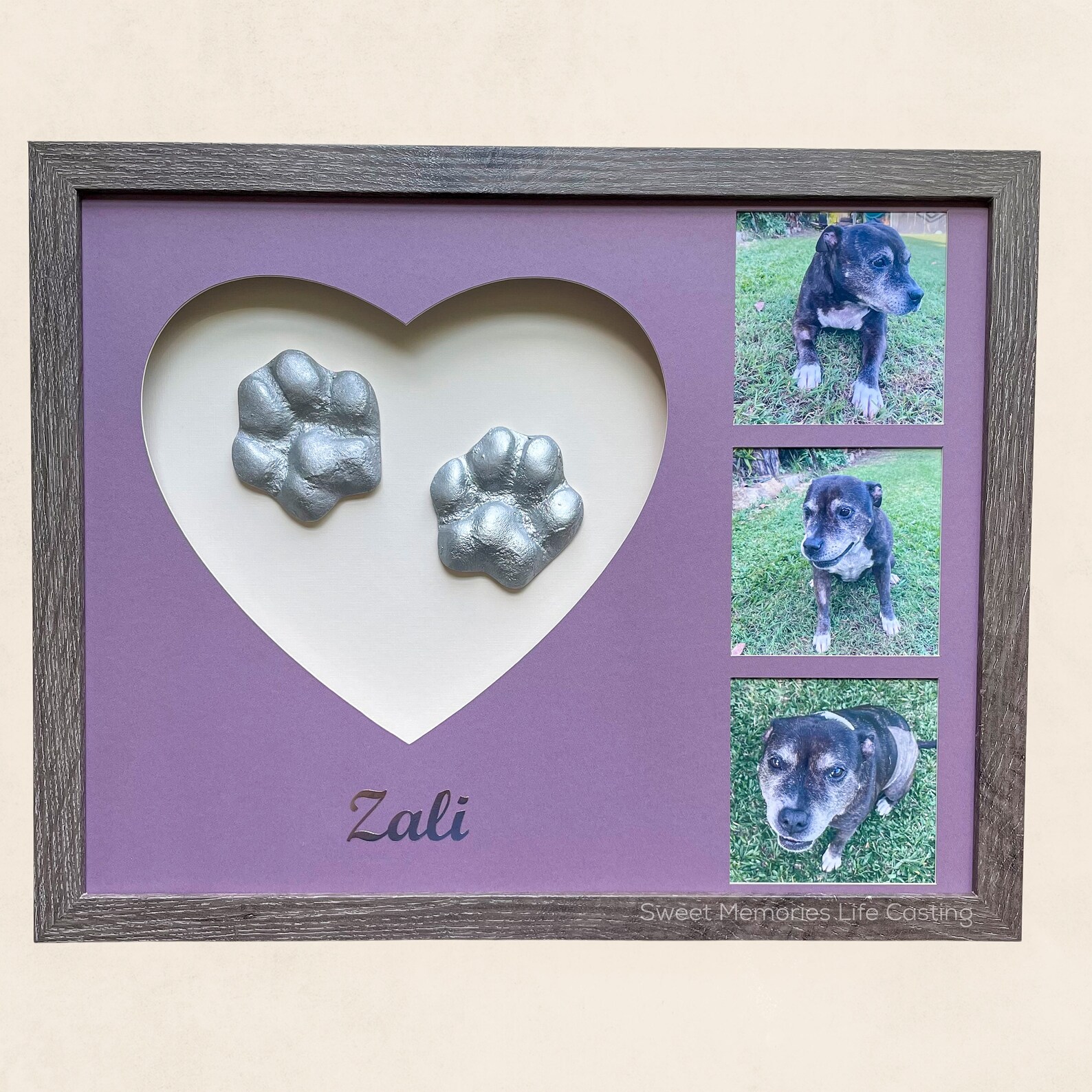 Pet Casting Paw Cast Paw Print DIY Casting Kit | Etsy