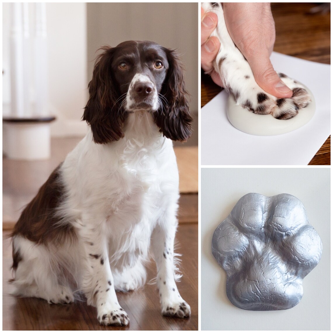 DIY Pet Paw Casting Kit Dog Paw Print Memorial Paw Casting - Etsy