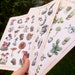 Sticker Collection Set of 3 Sticker Sheets 60 Individual Stickers - Etsy