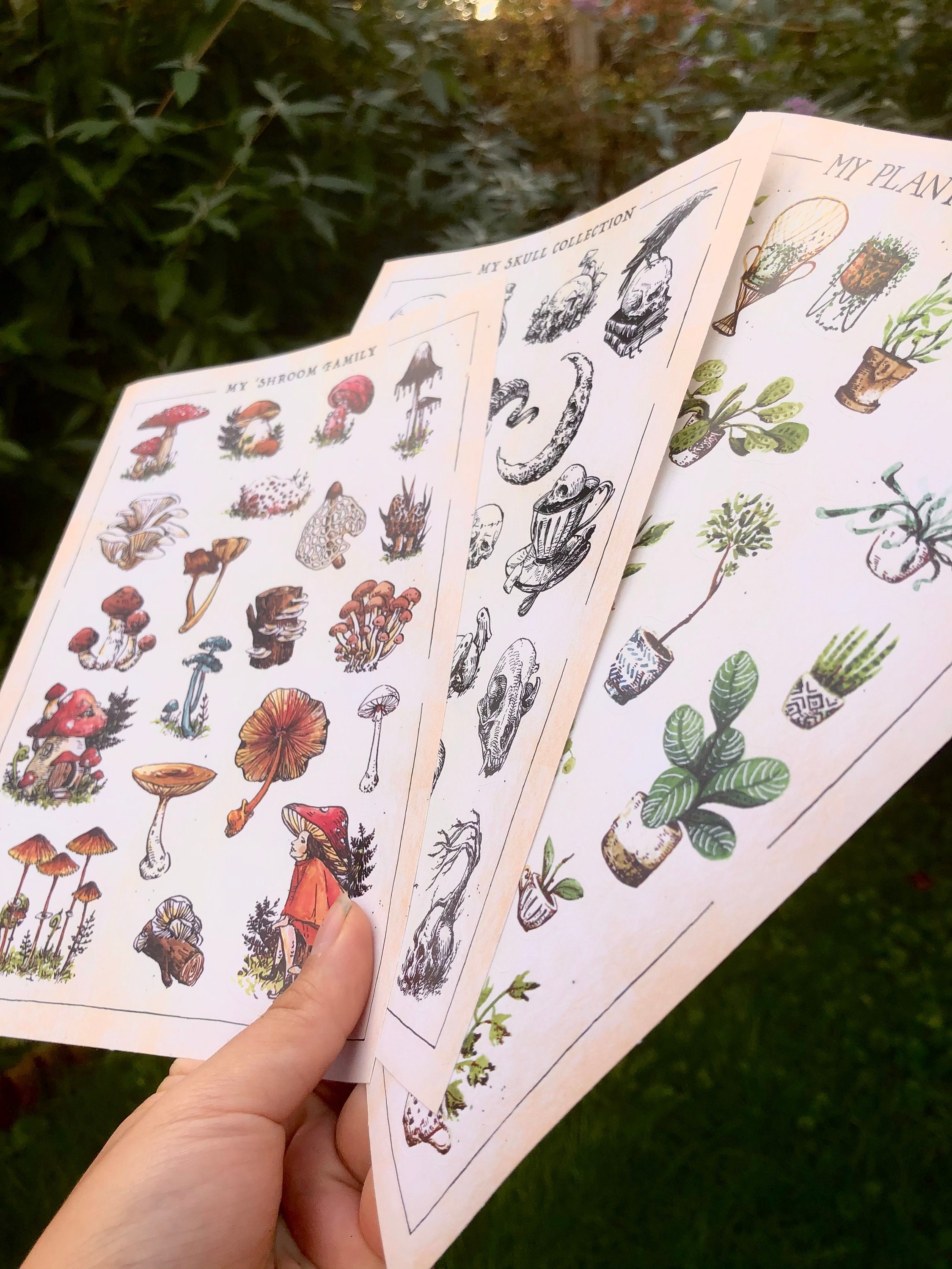 Sticker Collection | Set of 3 Sticker Sheets (60 Individual Stickers ...