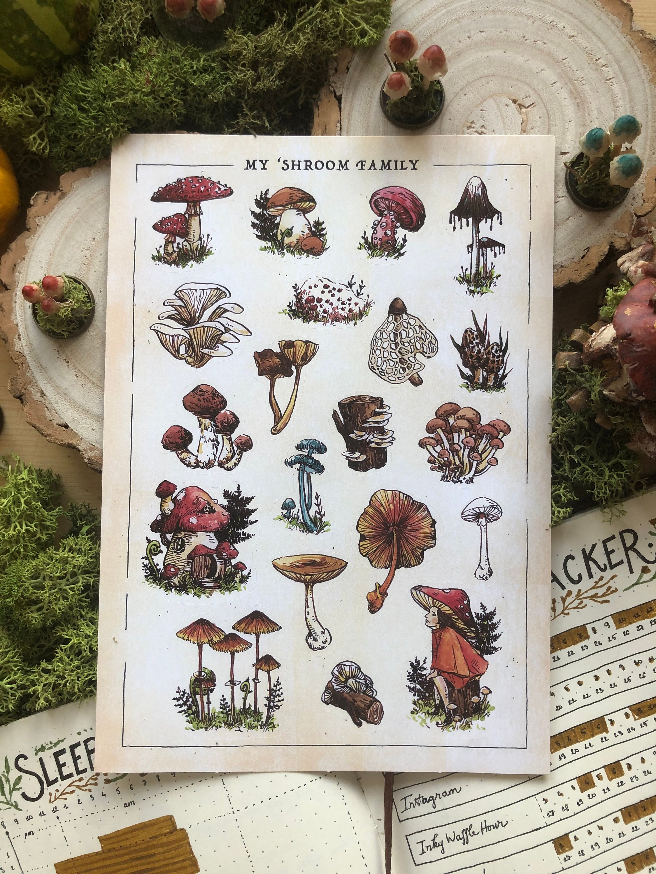 Sticker collection Set of 3 sticker sheets 60 individual | Etsy