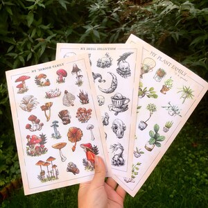 Sticker Collection Set of 3 Sticker Sheets 60 Individual - Etsy UK