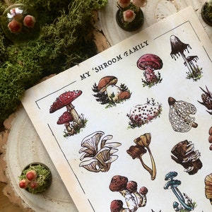 Sticker Collection | Set of 3 Sticker Sheets (60 Individual Stickers ...