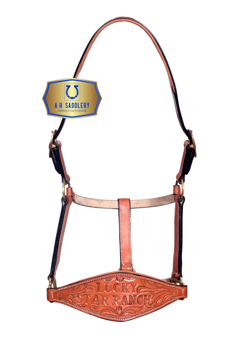 Personalized Leather Horse Halter With Your Name Embossed, Tooling or ...