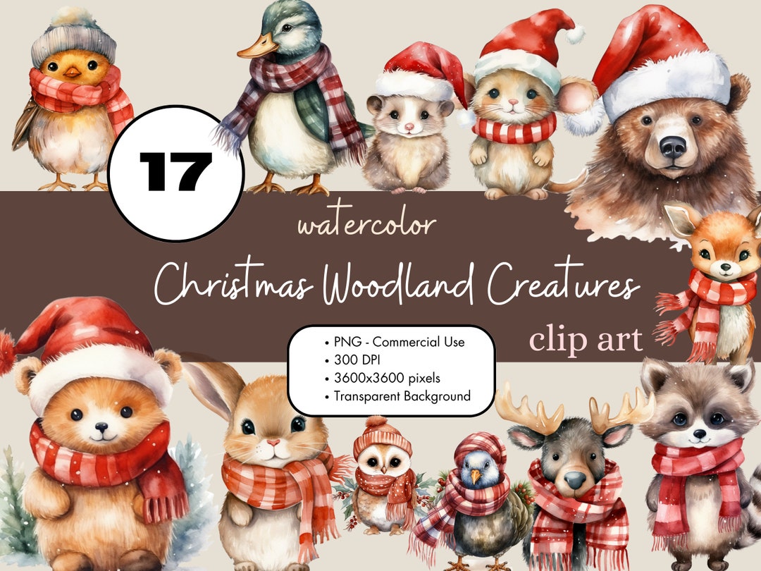 Woodland Animals Christmas Watercolor Clipart Bundle (PNG) - Etsy