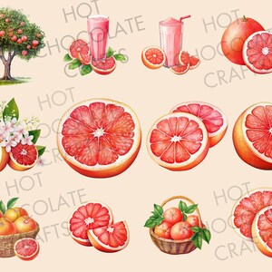 19 Grapefruits Watercolor Clipart PNG Sublimation Bundle Commercial Use Graphics Cirtus Fruit ...