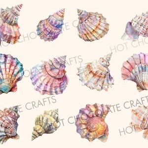 24 Seashells Watercolor Clipart Sublimation Bundle PNG Commercial Use ...