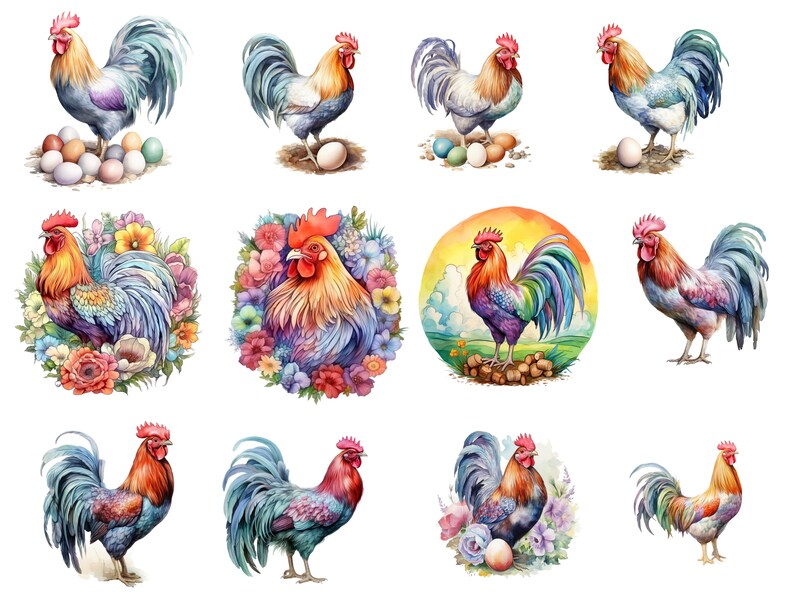 23 Rooster Watercolor Clipart Sublimation Design Elements Bundle PNG ...
