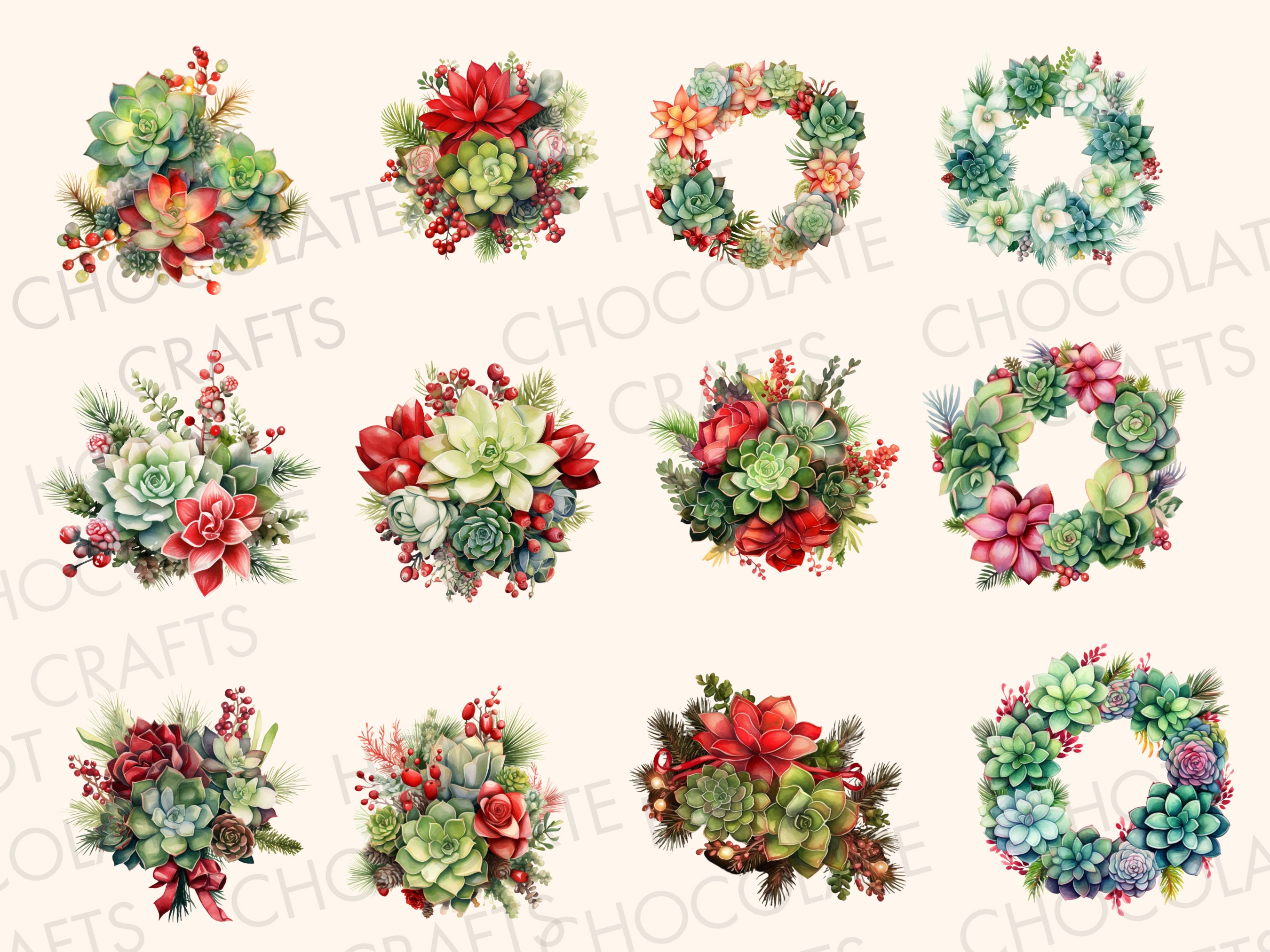 24 Christmas Succulents Cactus Plants Watercolor Clipart Sublimation ...