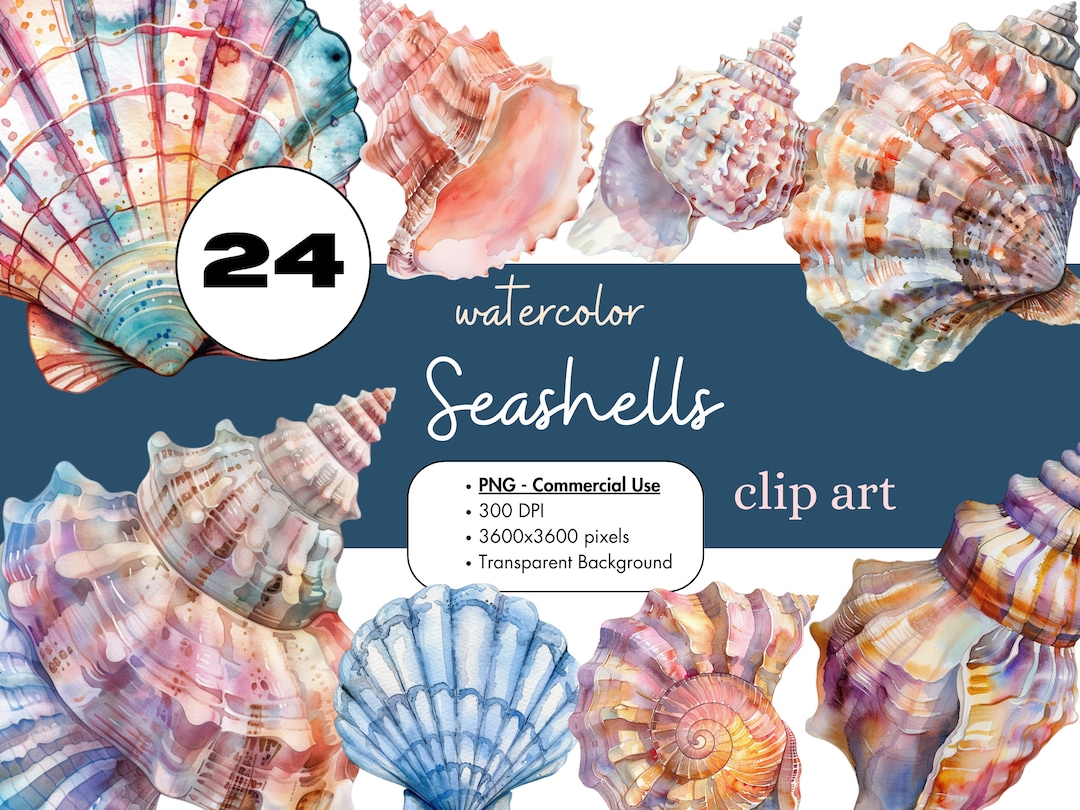 24 Seashells Watercolor Clipart Sublimation Bundle PNG Commercial Use ...