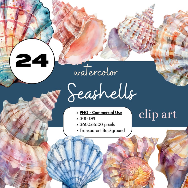 Sand Dollar Clip Art - Etsy