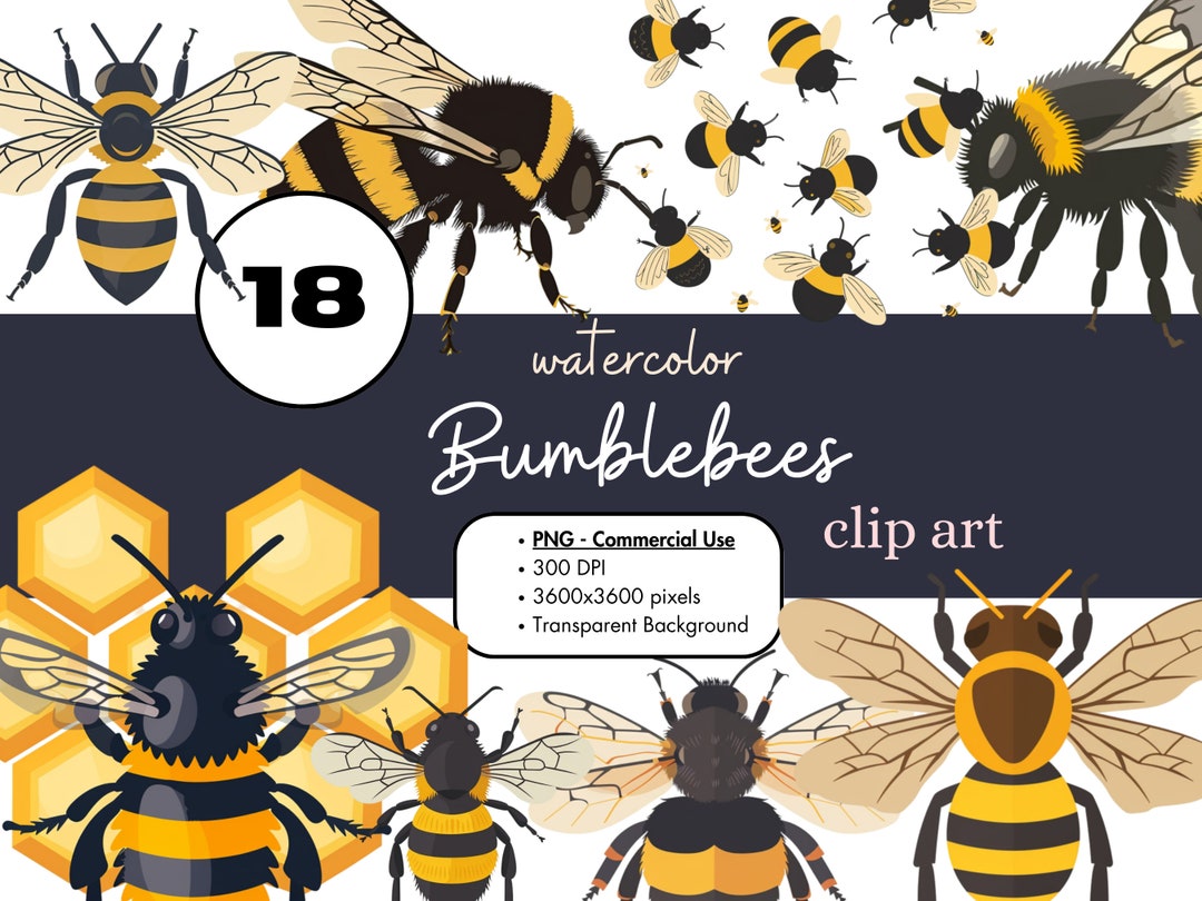 18 Bumblebees Watercolor Clipart PNG Sublimation Bundle Commercial Use ...