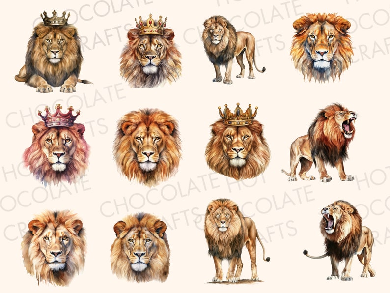 53 Lions Clipart PNG Sublimation Bundle Commercial Use Graphics Vintage ...