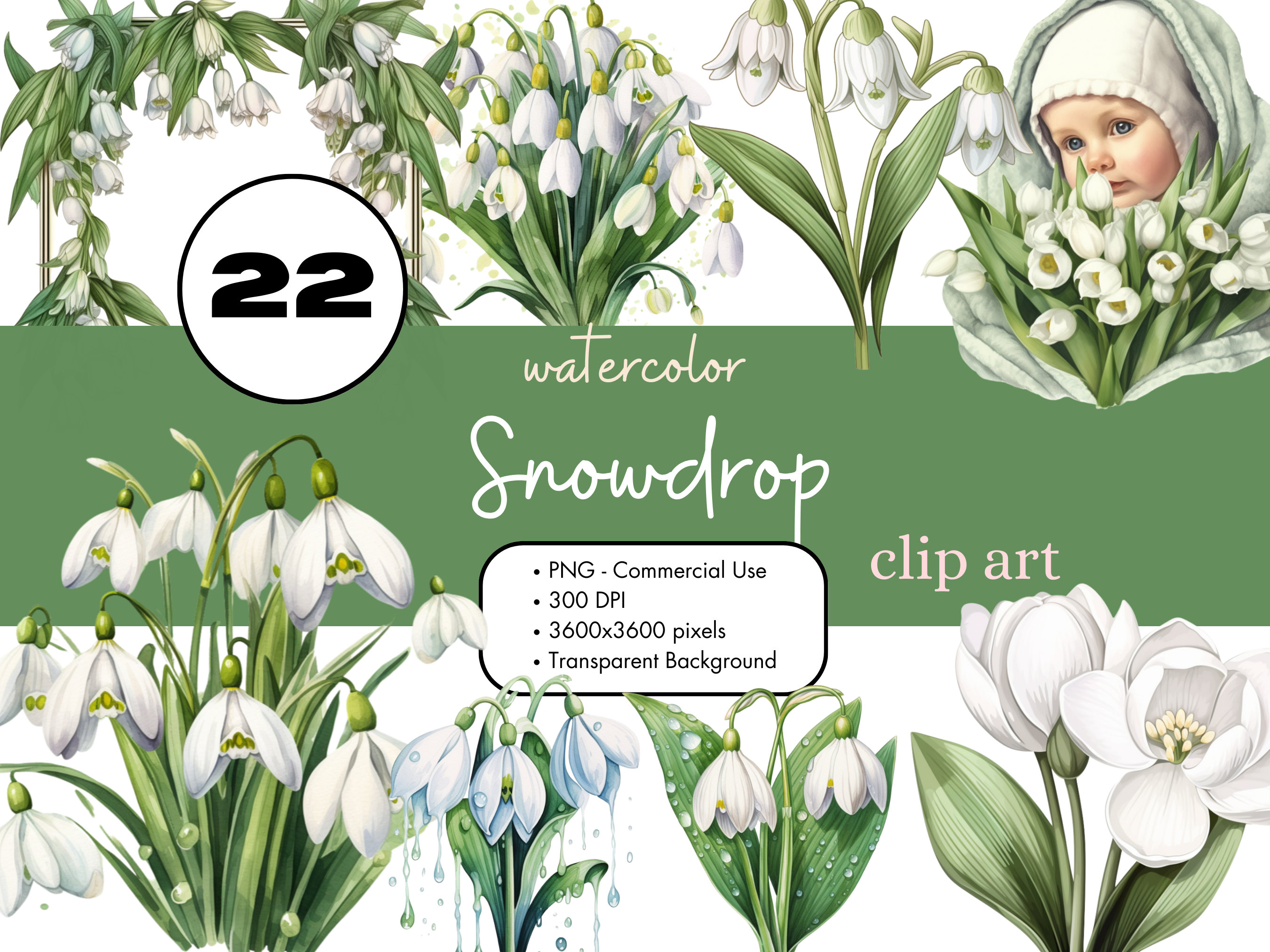 22 Snowdrop Flowers Watercolor Clipart Sublimation Bundle PNG ...