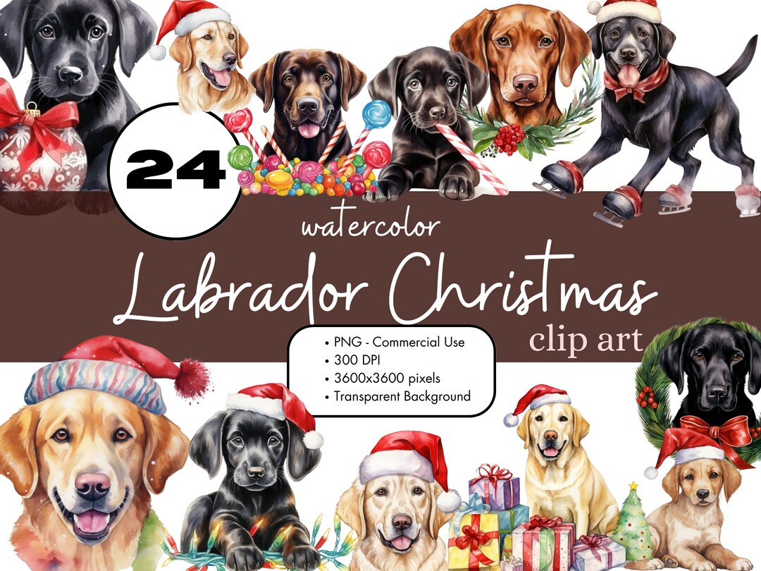 24 Labrador Retriever Christmas Dogs Watercolor Clipart PNG Sublimation ...