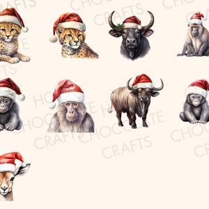 45 Christmas Safari Watercolor Clipart PNG Sublimation Bundle ...