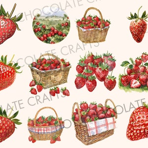 38 Berry Picking Strawberry Watercolor Clipart Sublimation Bundle PNG ...