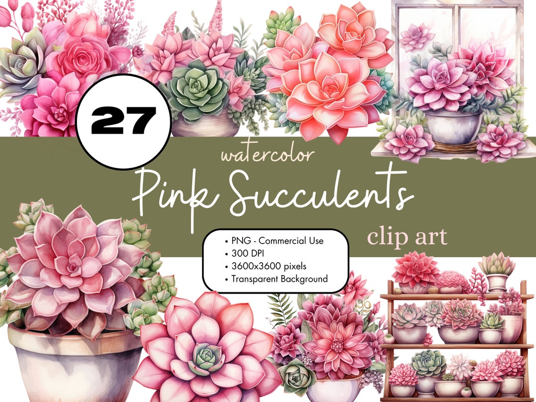 27 Pink Succulents Cactus Plants Watercolor Clipart Sublimation Bundle ...