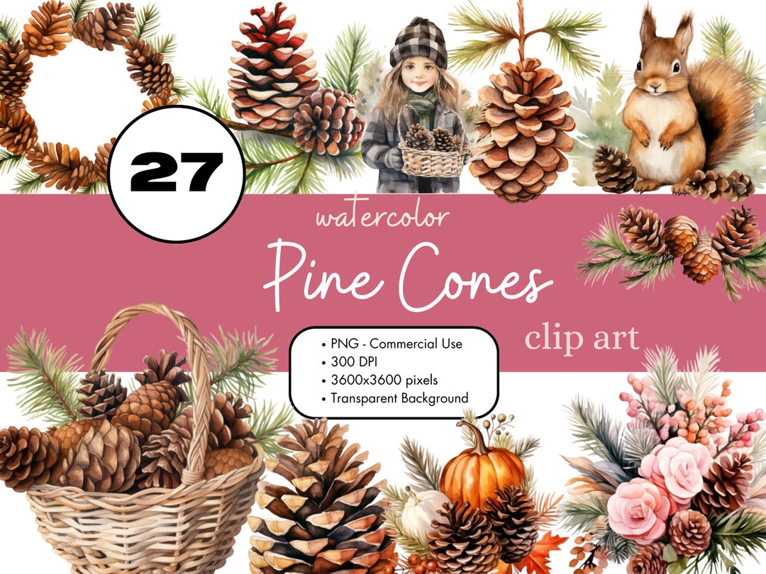 27 Pine Cones Watercolor Clipart PNG Sublimation Bundle Commercial Use ...