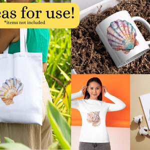 24 Seashells Watercolor Clipart Sublimation Bundle PNG Commercial Use ...