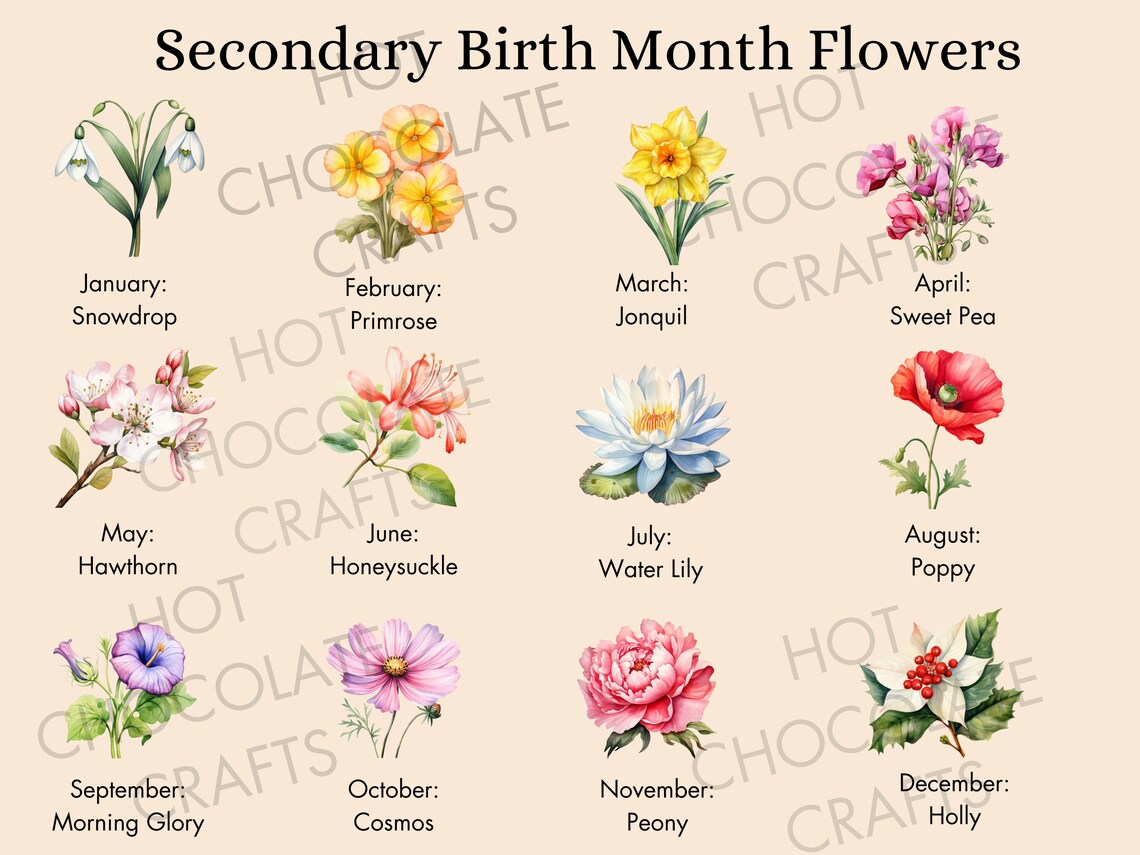 48 Birth Month Flower Watercolor Clipart Sublimation Bundle PNG ...