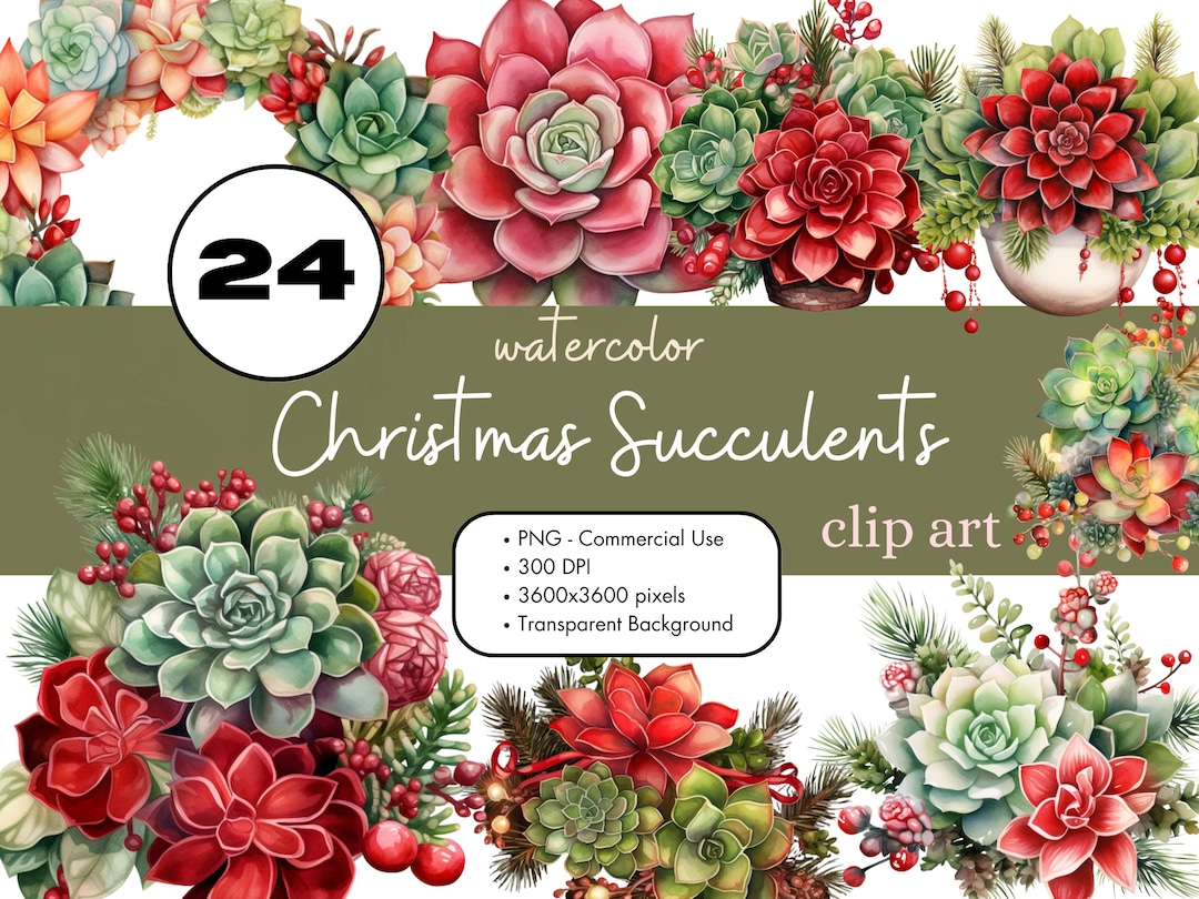 24 Christmas Succulents Cactus Plants Watercolor Clipart Sublimation ...
