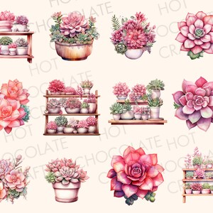 27 Pink Succulents Cactus Plants Watercolor Clipart Sublimation Bundle ...