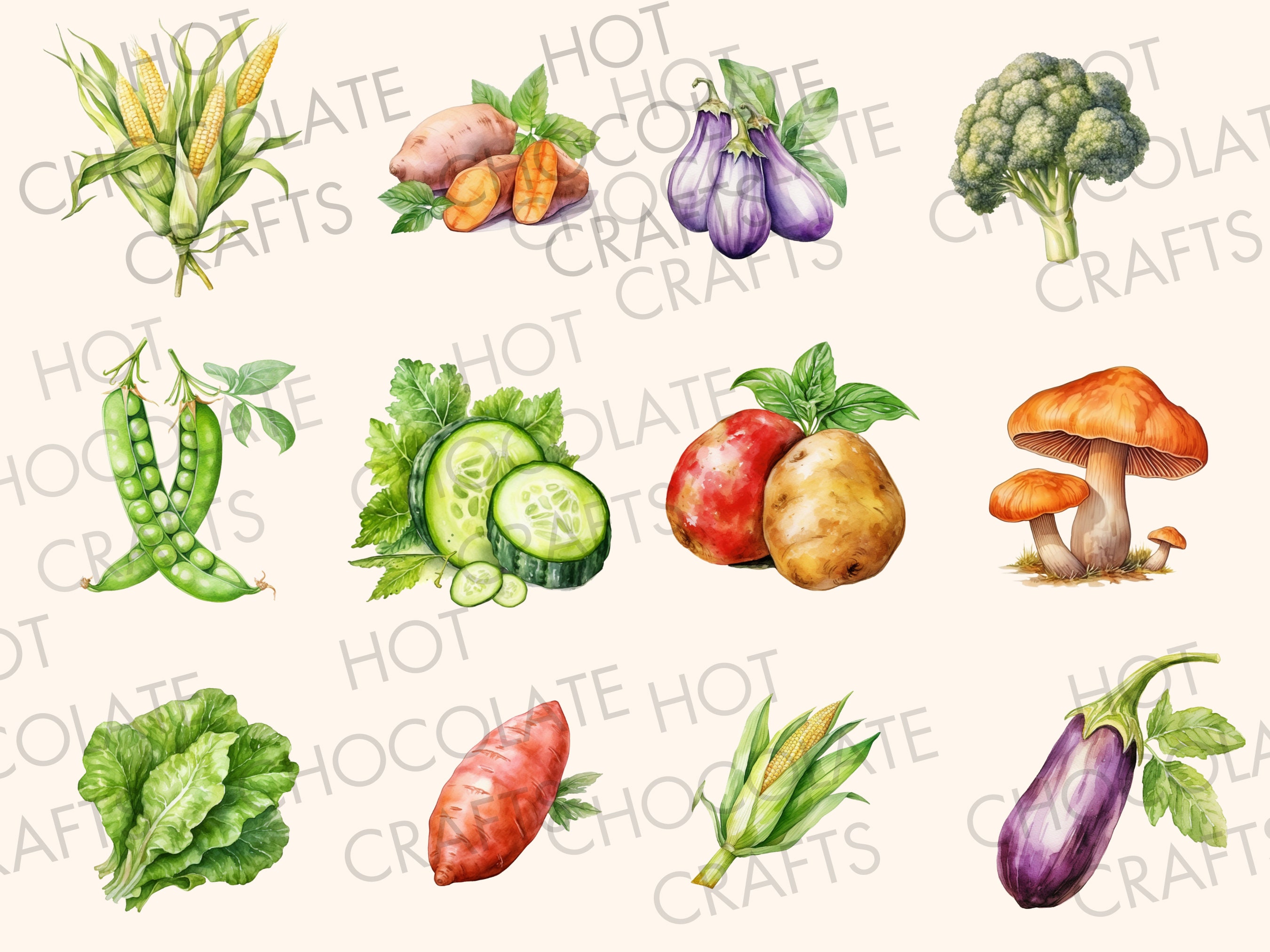33 Organic Vegetables Watercolor Clipart PNG Sublimation Bundle ...