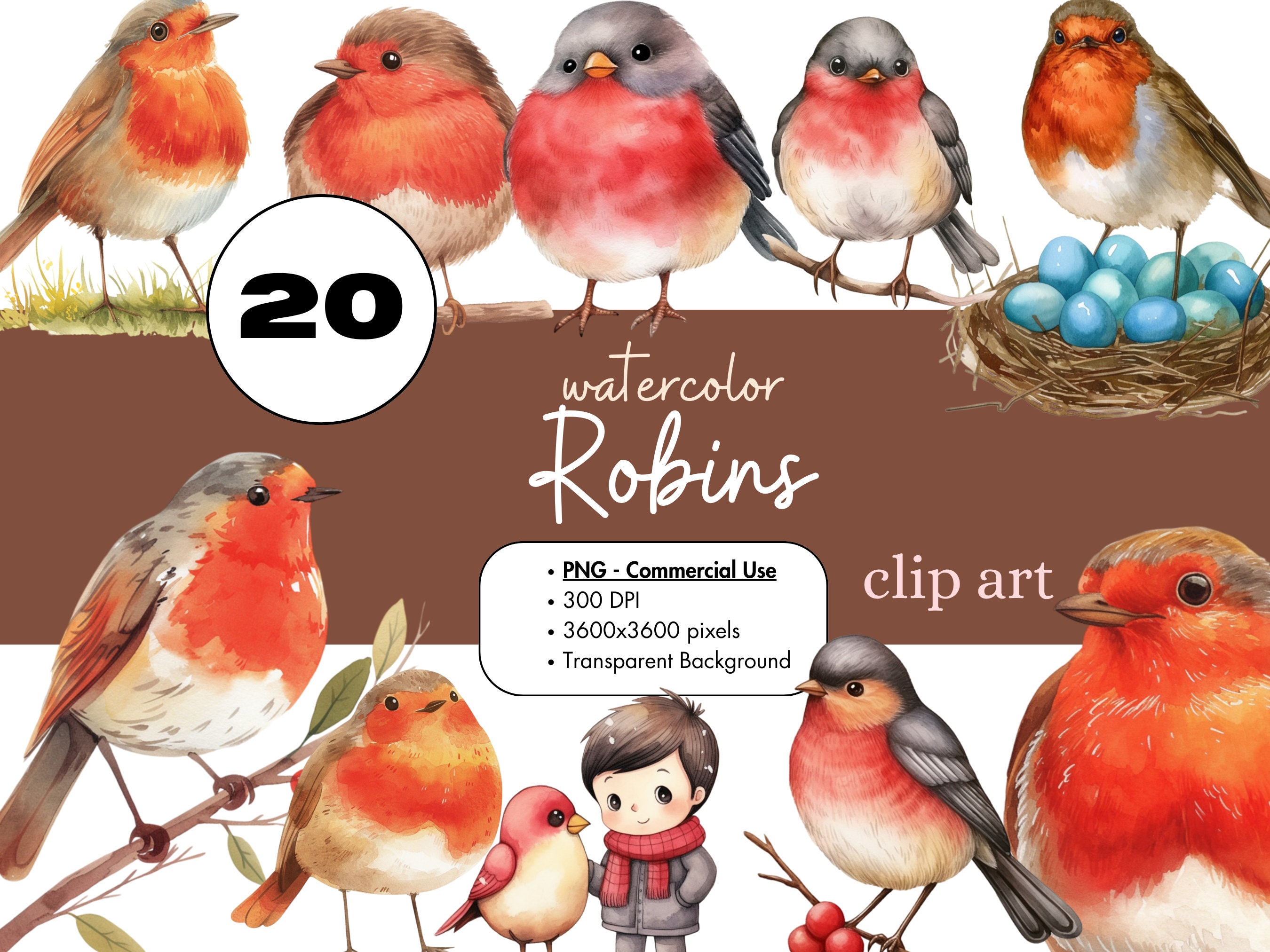 20 Robins Watercolor Clipart Sublimation Bundle PNG Commercial Use ...