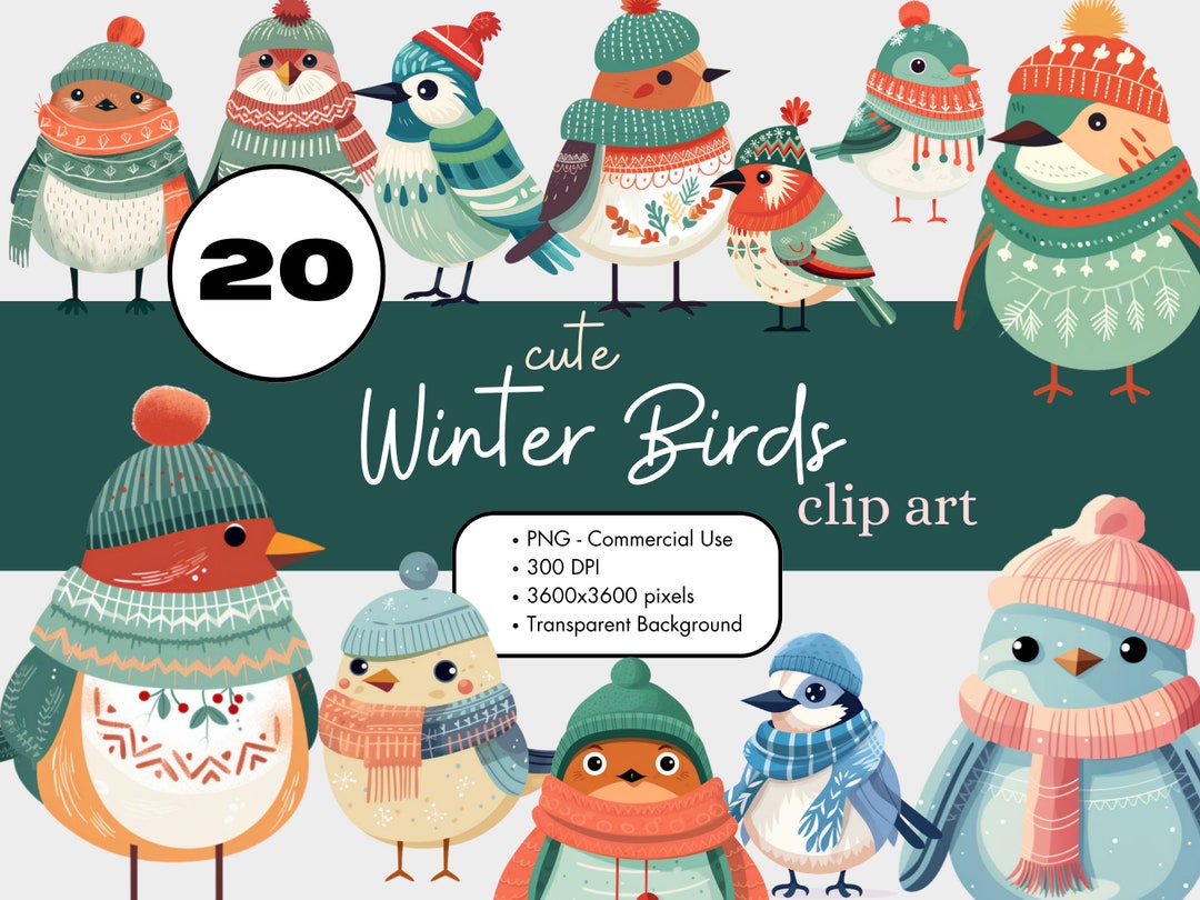 20 Winter Birds in Clothing Watercolor Clipart Sublimation Bundle PNG ...