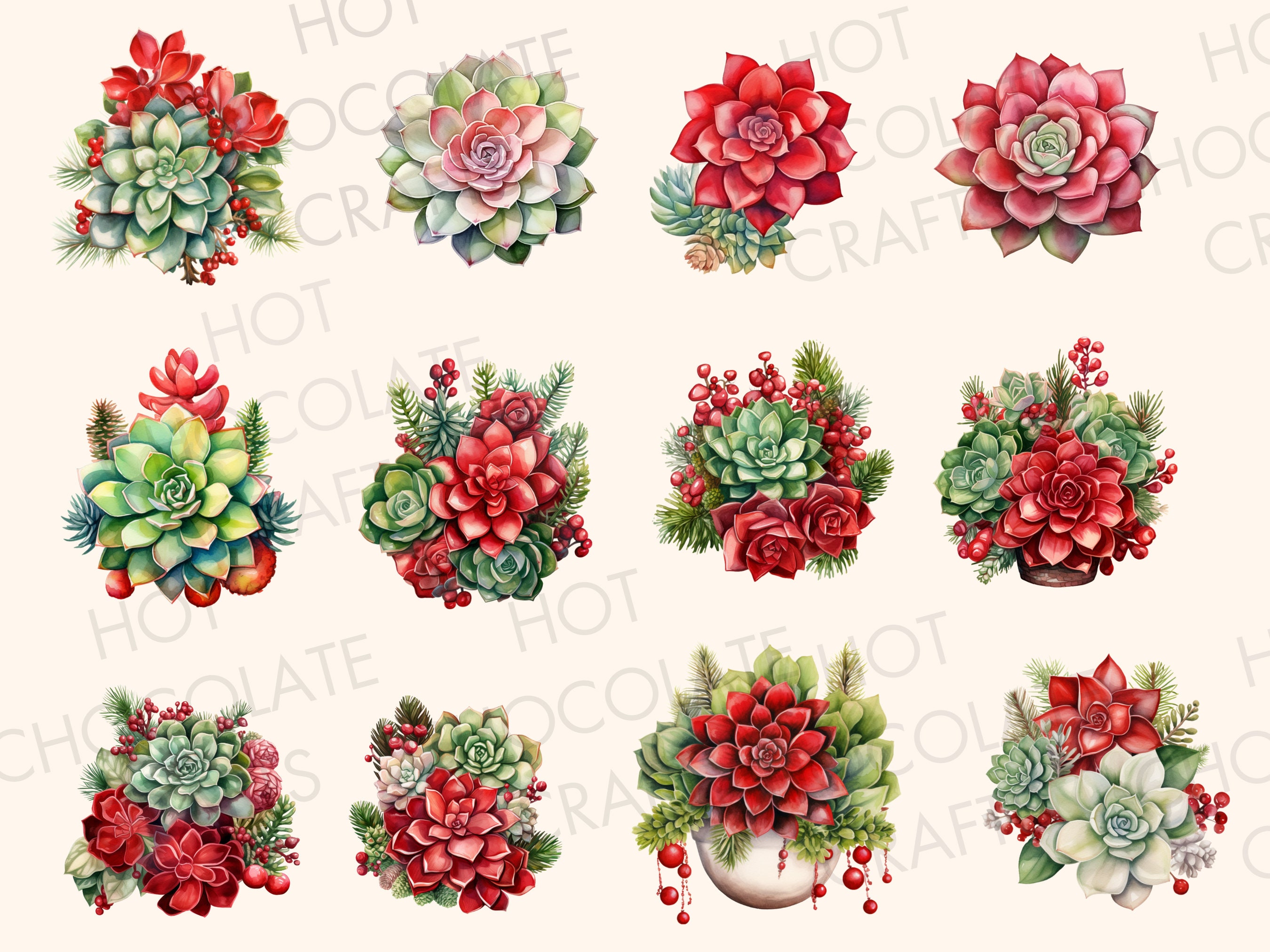 24 Christmas Succulents Cactus Plants Watercolor Clipart Sublimation ...