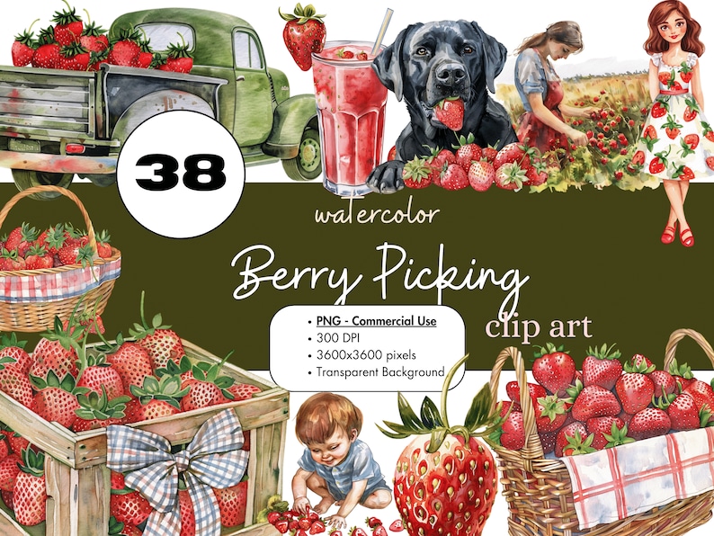 38 Berry Picking Strawberry Watercolor Clipart Sublimation Bundle PNG ...