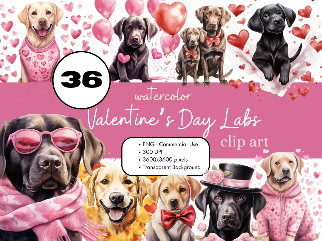 36 Labrador Retriever Valentine's Day Clipart PNG Sublimation Bundle ...