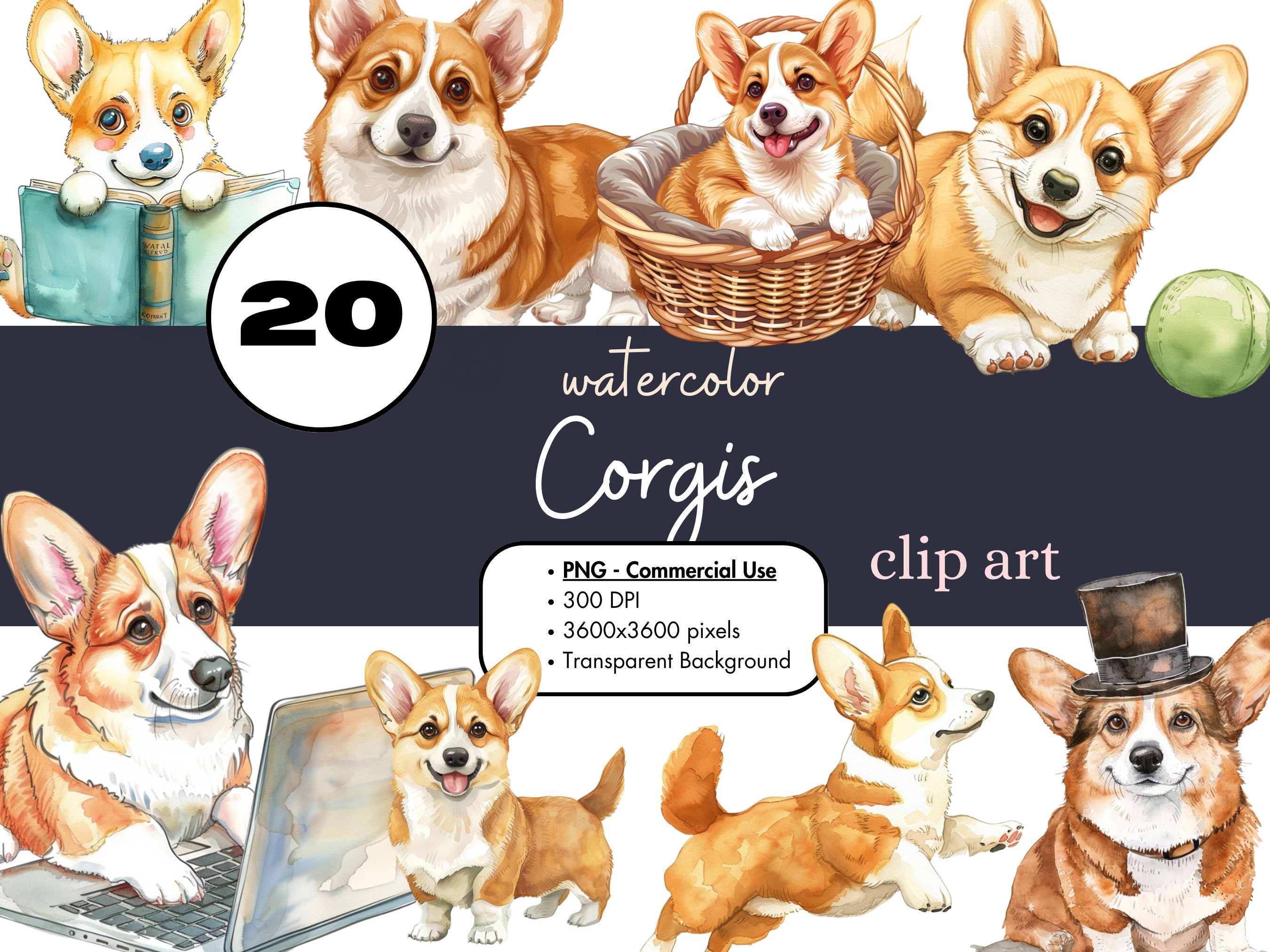 20 Corgi Watercolor Clipart PNG Sublimation Bundle Commercial Use ...