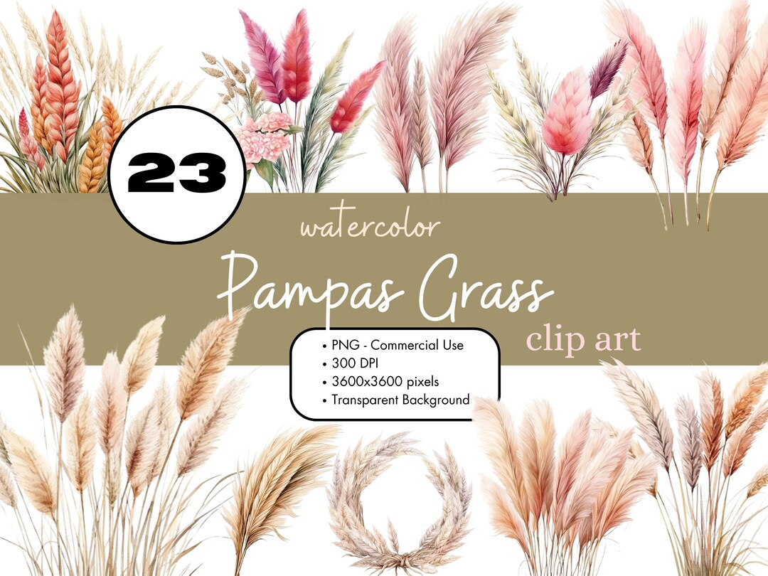 23 Pampas Grass Floral Watercolor Clipart Sublimation Bundle PNG ...