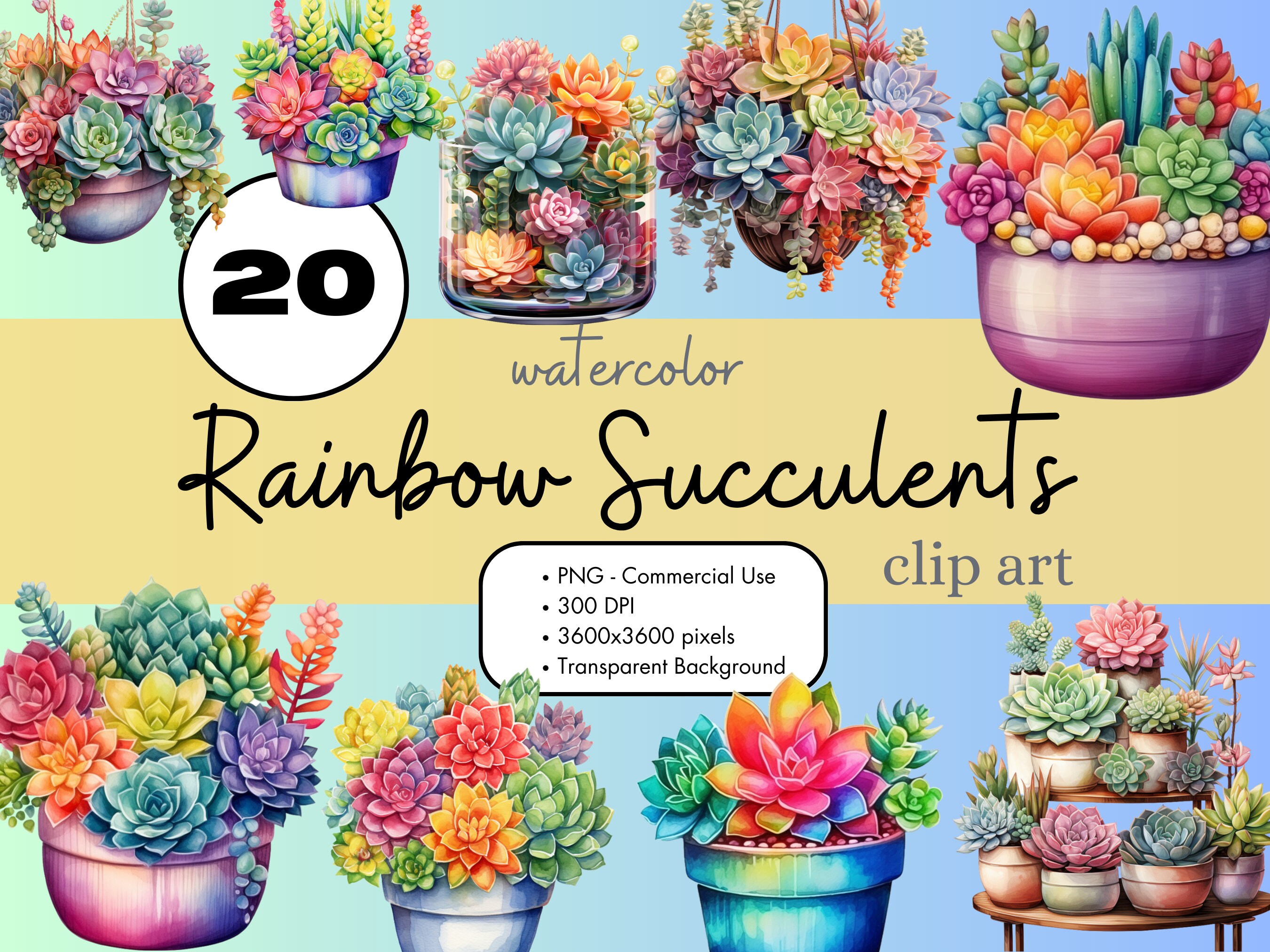 20 Rainbow Succulents Cactus Plants Watercolor Clipart Sublimation ...