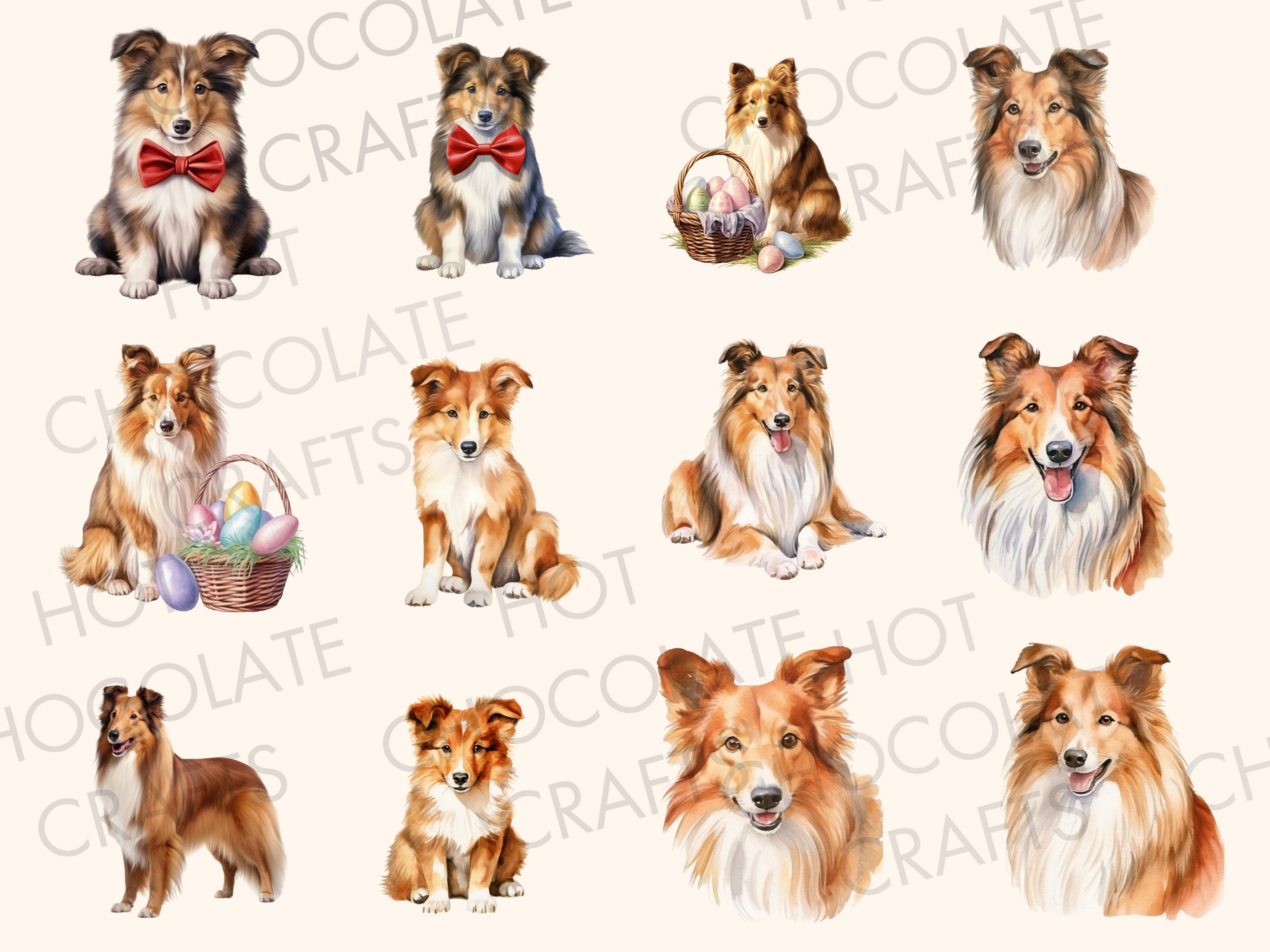 26 Shetland Sheepdogs Watercolor Clipart PNG Sublimation Bundle ...