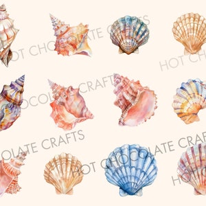 24 Seashells Watercolor Clipart Sublimation Bundle PNG Commercial Use ...