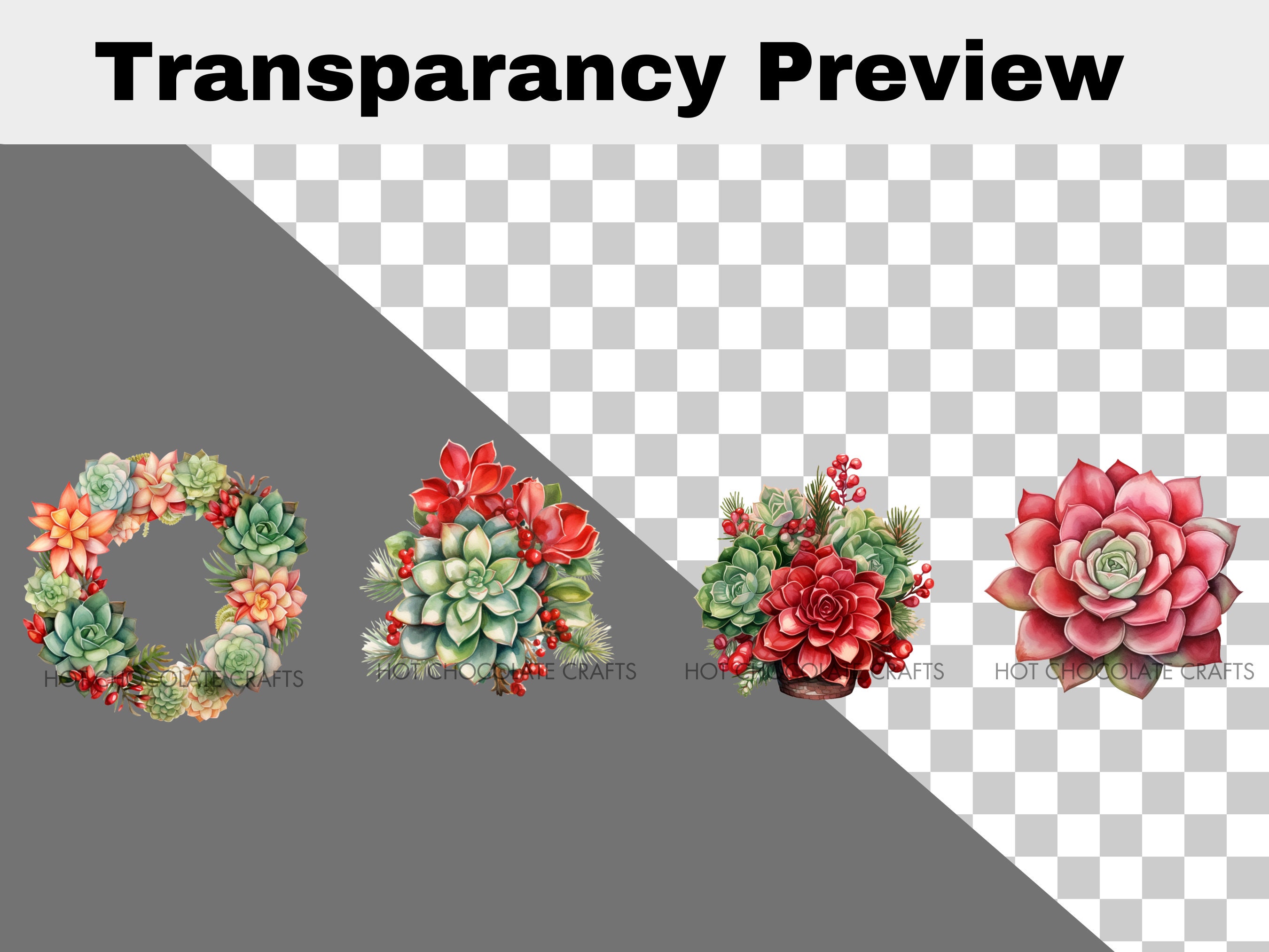 24 Christmas Succulents Cactus Plants Watercolor Clipart Sublimation ...