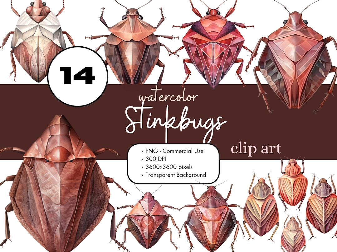 14 Stinkbugs Clipart PNG Sublimation Bundle Commercial Use Graphics ...