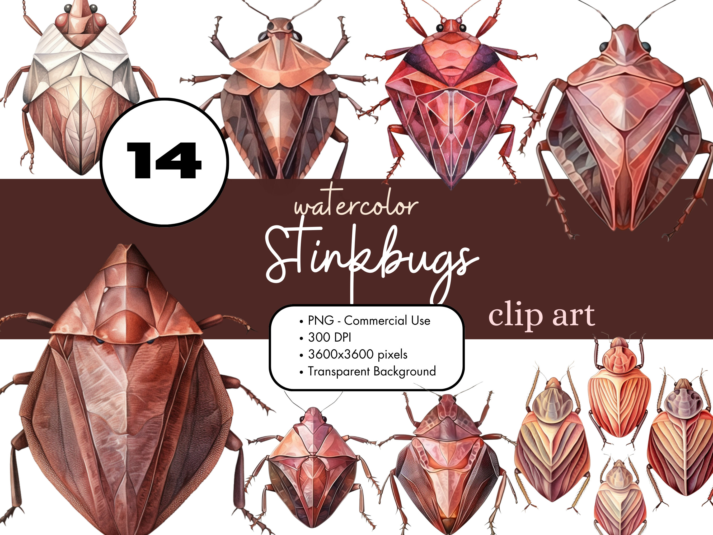 14 Stinkbugs Clipart PNG Sublimation Bundle Commercial Use Graphics ...