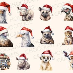 45 Christmas Safari Watercolor Clipart PNG Sublimation Bundle ...