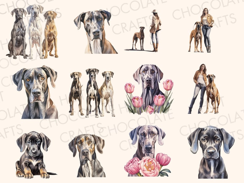 28 Great Danes Watercolor Clipart PNG Sublimation Bundle Commercial Use ...