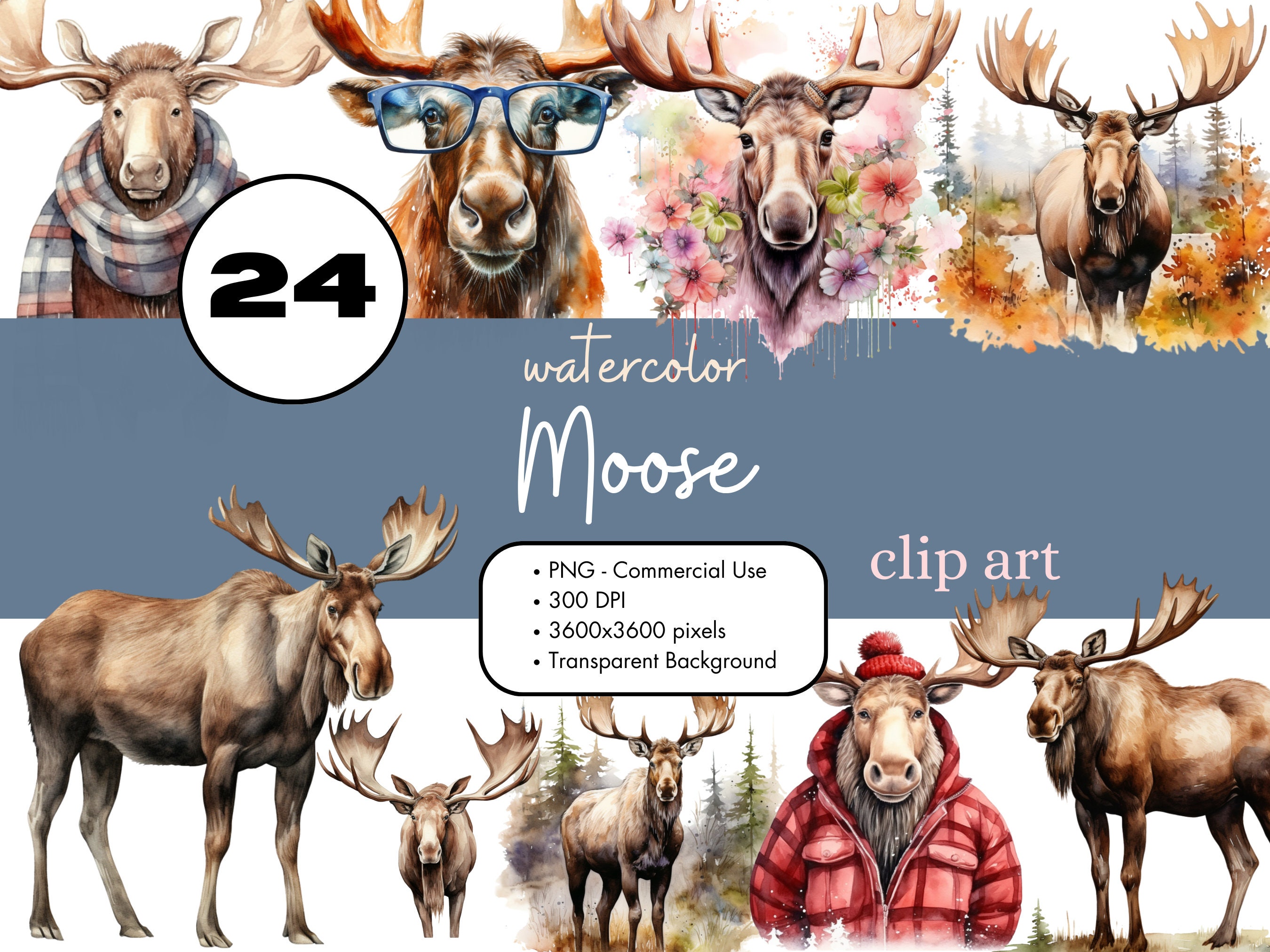 24 Moose Clipart Sublimation Bundle PNG Commercial Use Graphics Clip ...