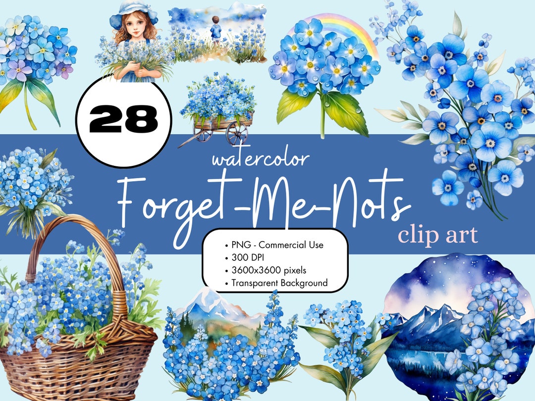 28 Forget Me Not Alaska State Flower Floral Blue Elegant Watercolor ...