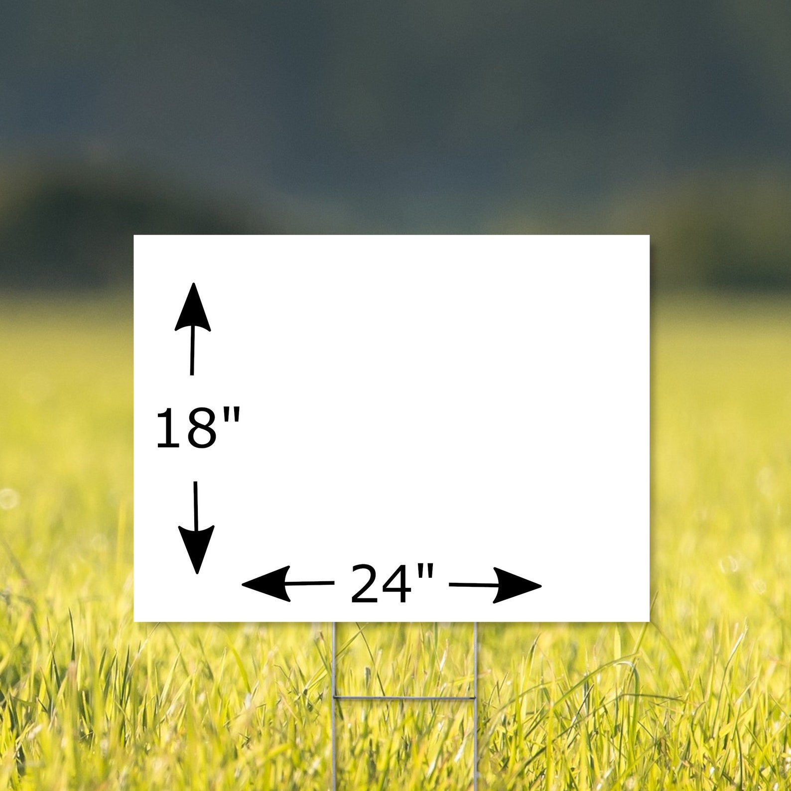 We Believe Conservative Yard Sign colorful | Etsy