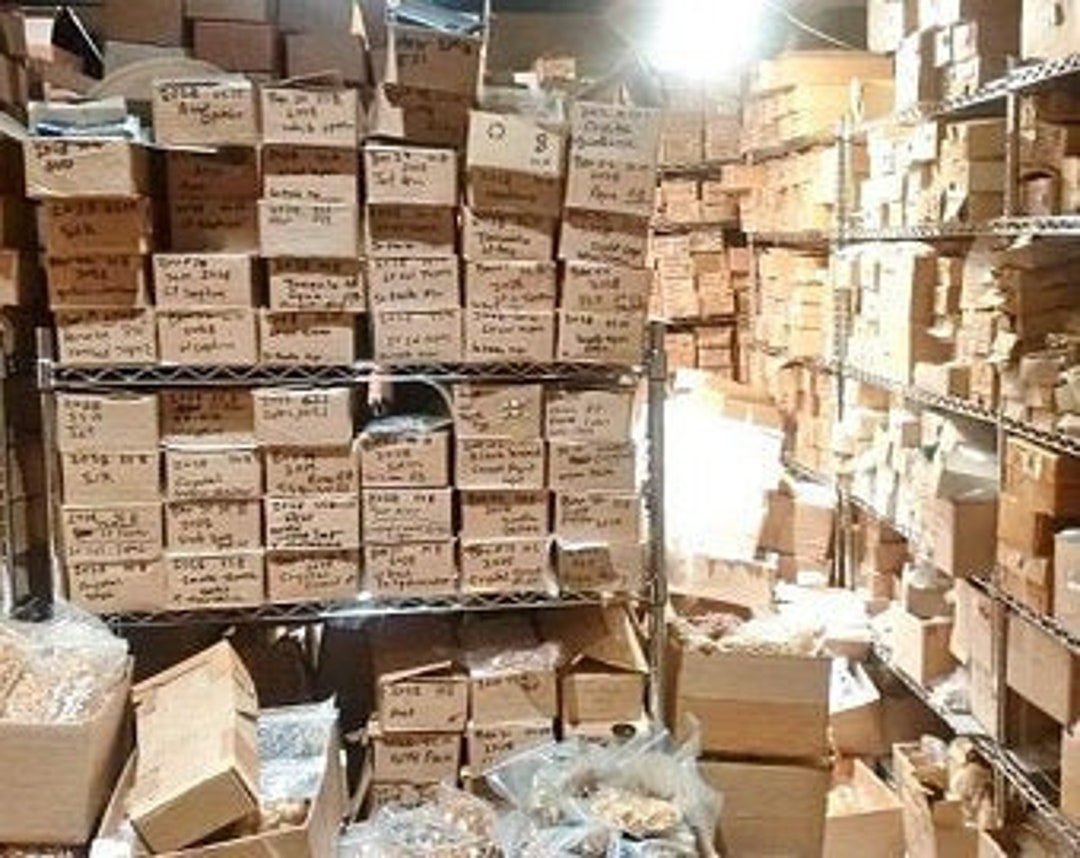 2 Lbs BOX of JEWELRY Some Broken Some Not,necklaces, Bracelets, Ect - Etsy